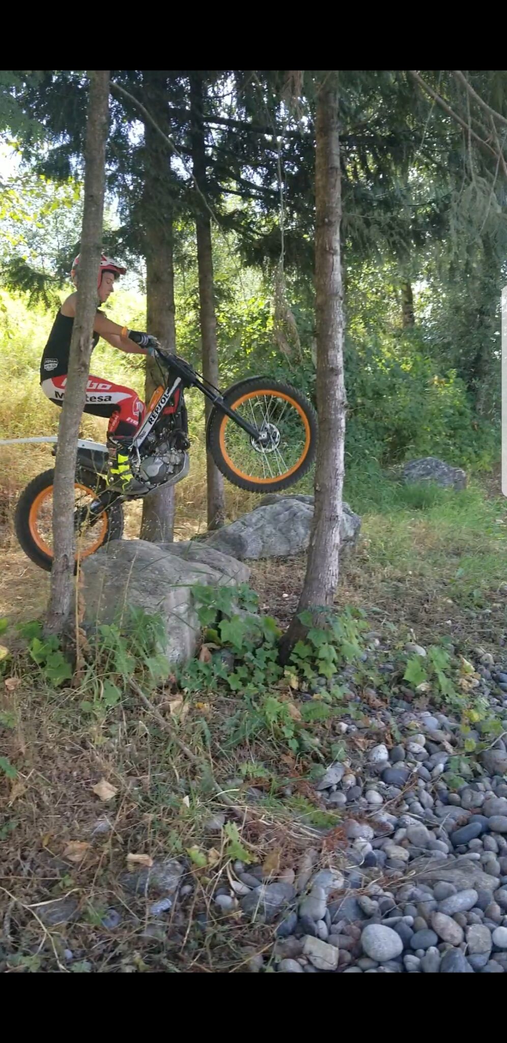 Gallery – Popkum Motor Park