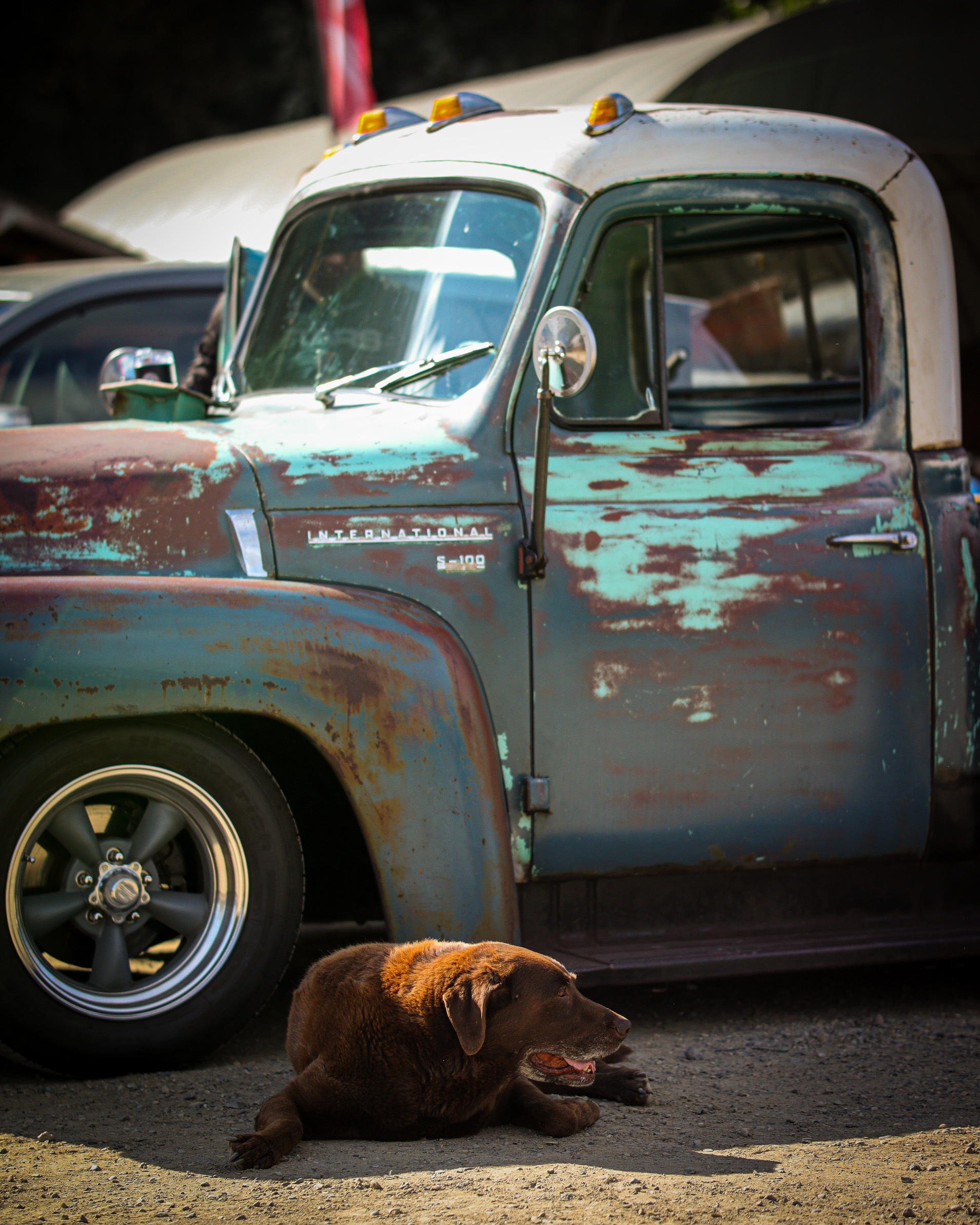 Gallery – Popkum Motor Park